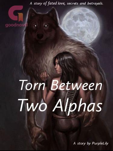 Torn Between Two Alphas PDF & Novel Online by Purple Lily to Read for Free - Fantasy Stories ...