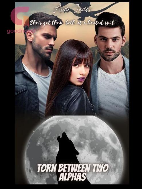 Torn between two Alphas PDF & Novel Online by Ava Jean to Read for Free - Werewolf Stories ...