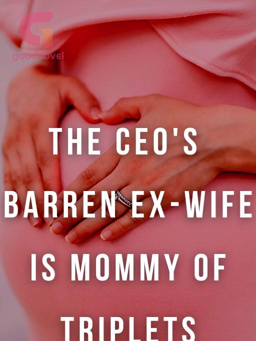 The CEO's Barren Ex-Wife Is The Mommy Of Triplets PDF & Novel Online by Honeybeehive to Read for ...