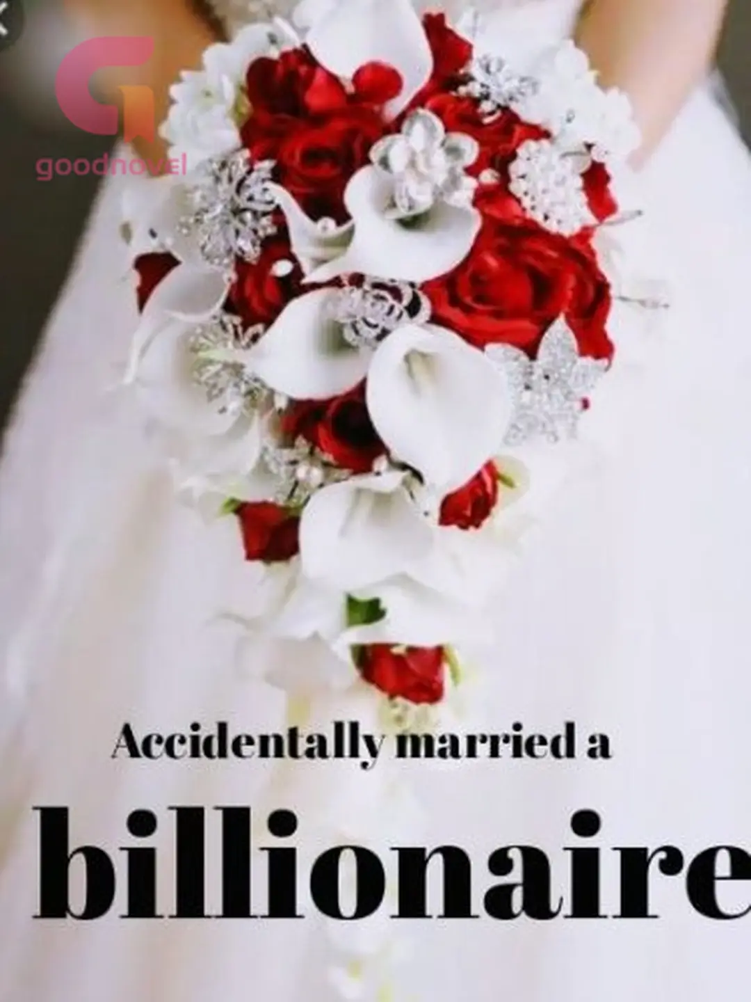 Accidentally married a billionaire - Read Online Free by Authoress Evelyn | GoodNovel