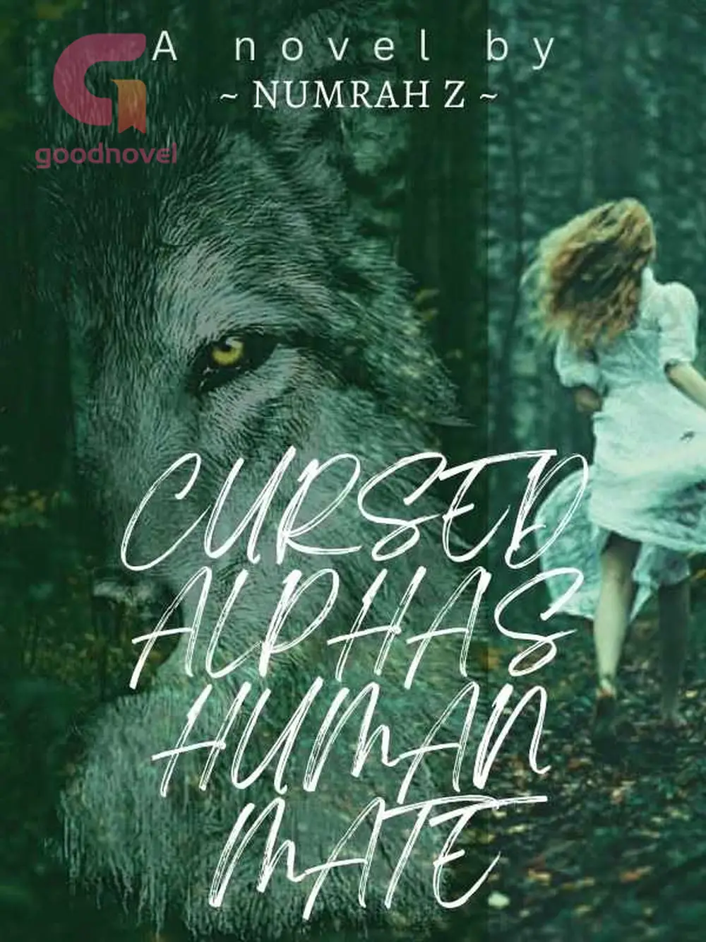 CURSED ALPHA'S HUMAN MATE by NumrahZ Read Online Free - GoodNovel