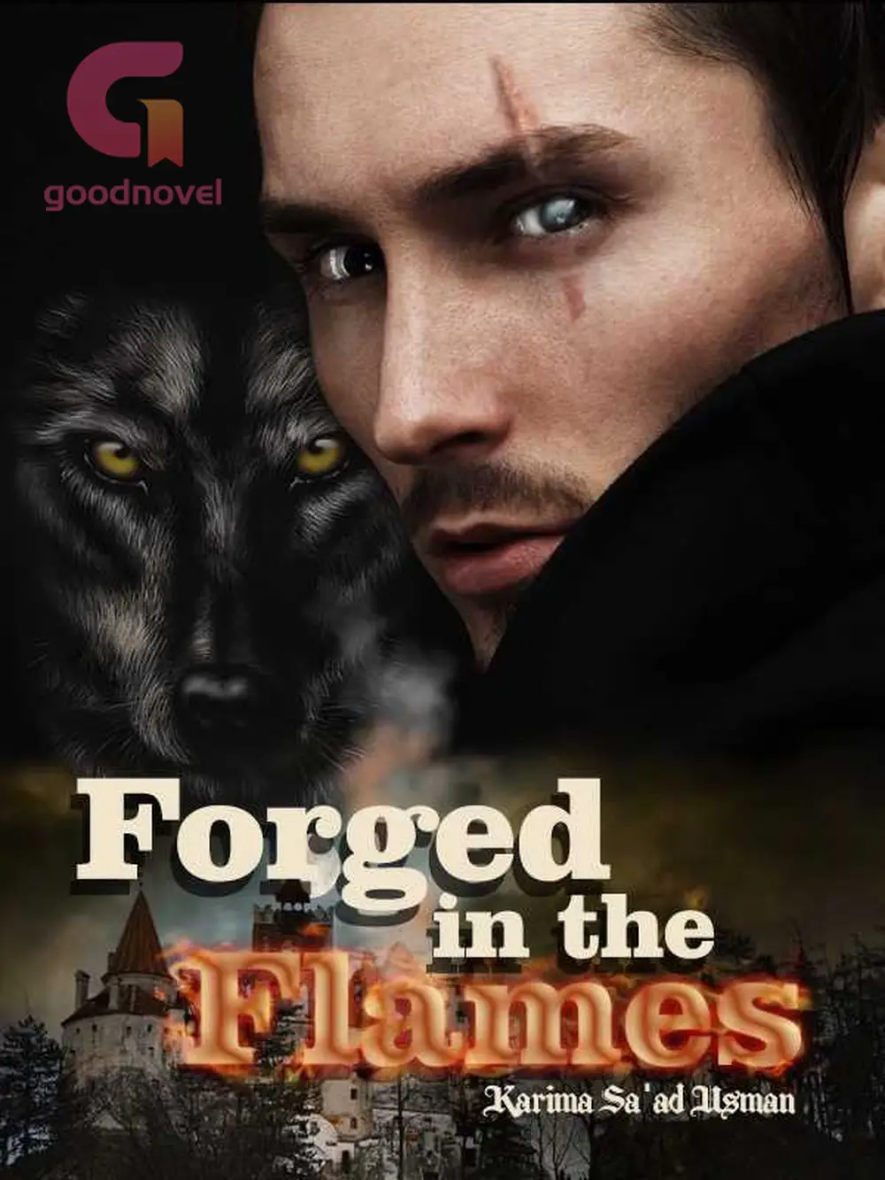 Forged In The Flames by Karima Sa'ad Usman Read Online Free - GoodNovel