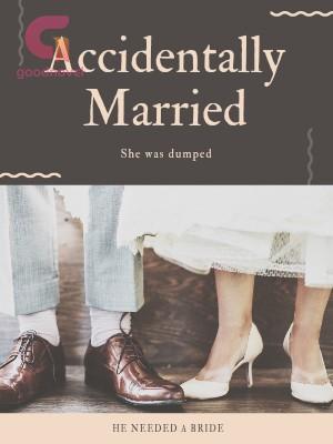 Accidentally Married PDF & Novel Online by Swiftpen123 to Read for Free - Billionaire Stories ...