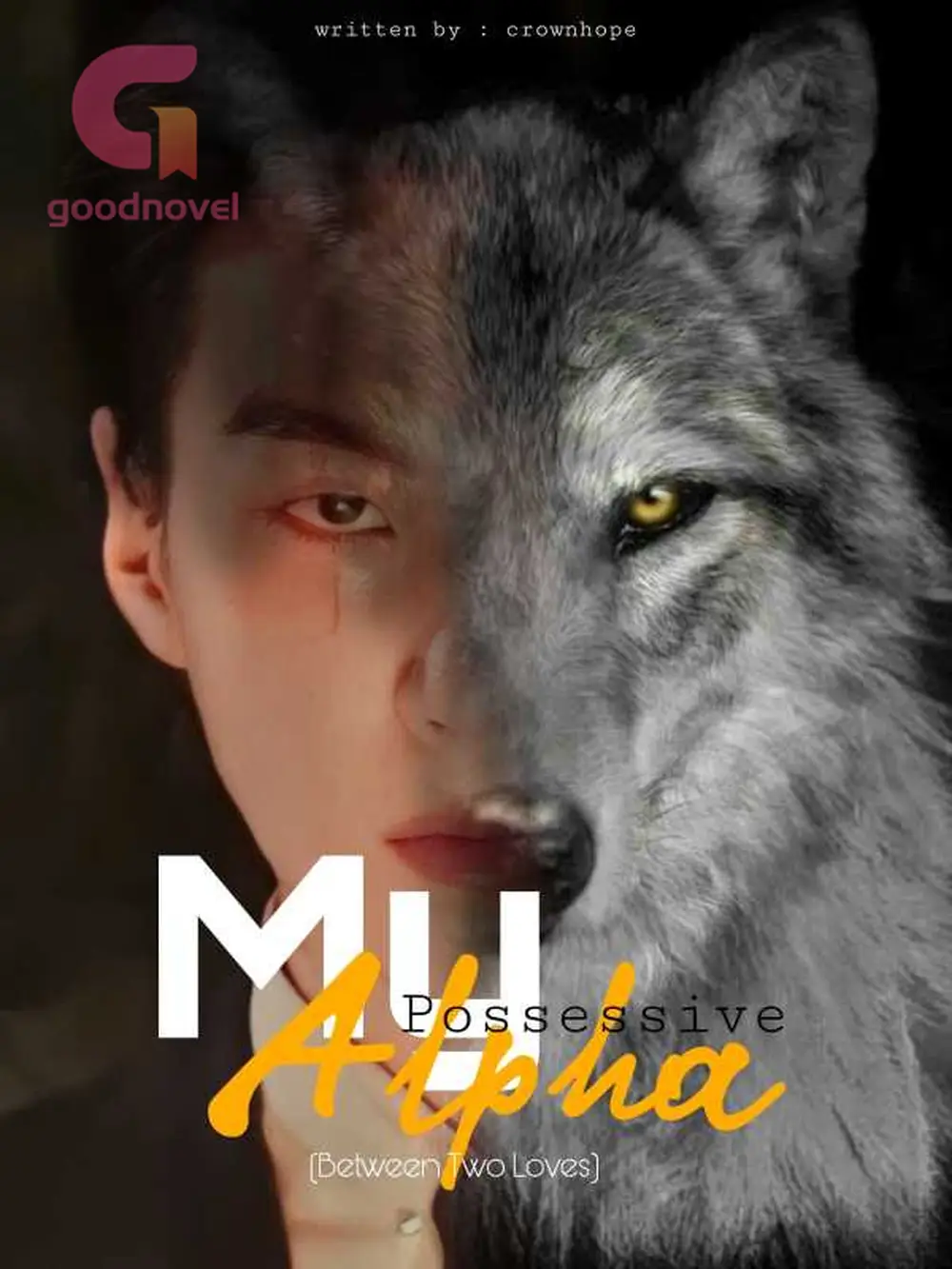 Chapter 54. Past Searches and Enemies - My Possessive Alpha | Between Two Loves - GoodNovel