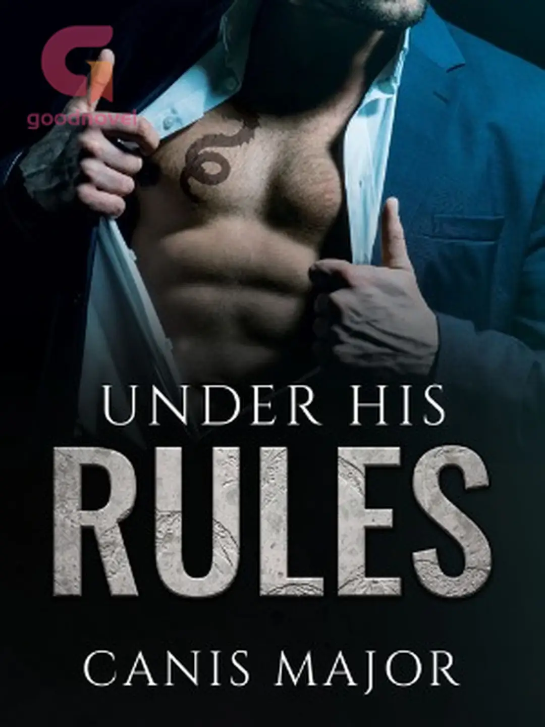 UNDER HIS RULES - Read Online Free by Canis Major | GoodNovel