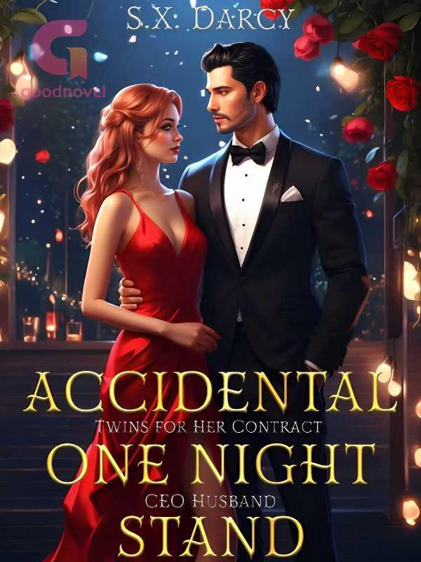 Accidental One Night Stand: Twins for Contract CEO Husband PDF & Novel Online by S.X. Darcy to ...
