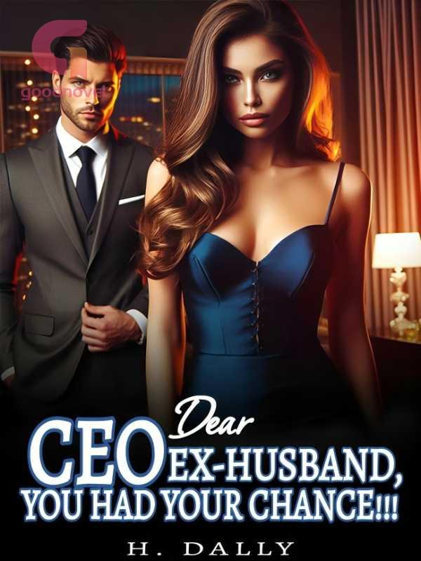 Dear CEO Ex-Husband, You Had Your Chance!!! PDF & Novel Online by H. Dally to Read for Free ...