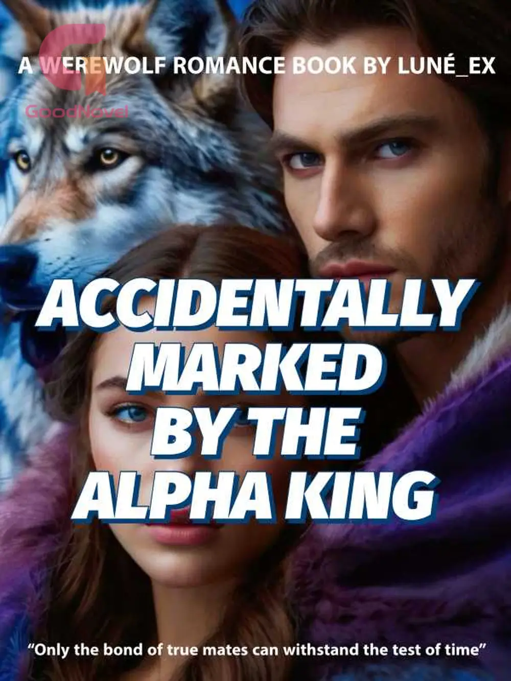 Accidentally Marked By The Alpha King by Luné_ex Read Online Free ...