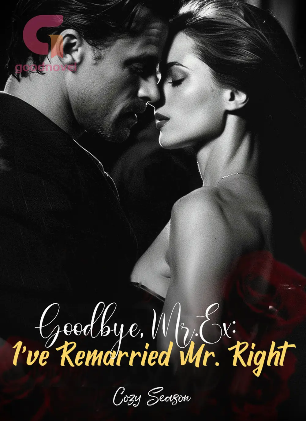 Goodbye, Mr. Ex: I've Remarried Mr. Right by Cozy Season Read Online Free - GoodNovel
