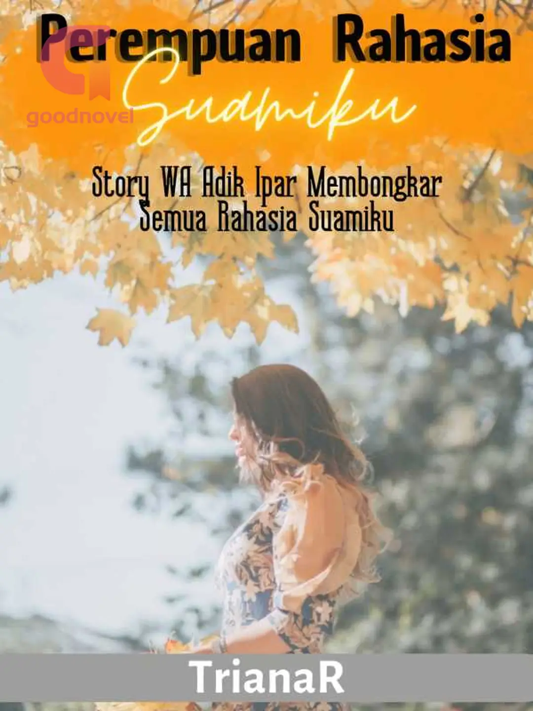 Perempuan Rahasia Suamiku - 17. Tak tahu malu Novel & PDF Online oleh TrianaR | Baca Rumah ...