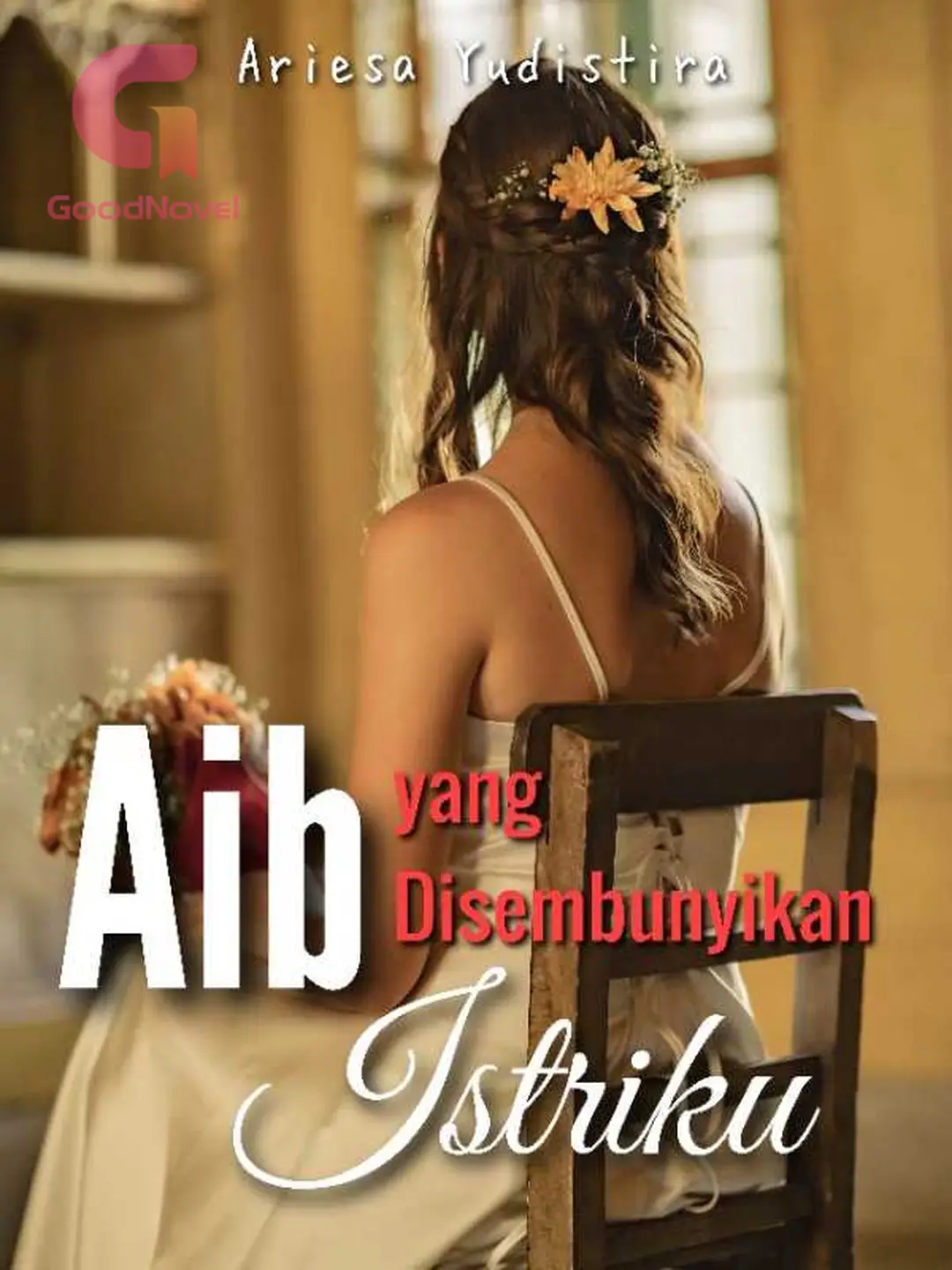 AIB YANG DISEMBUNYIKAN ISTRIKU - Pribadi baru Novel & PDF Online oleh Ariesa Yudistira | Baca ...