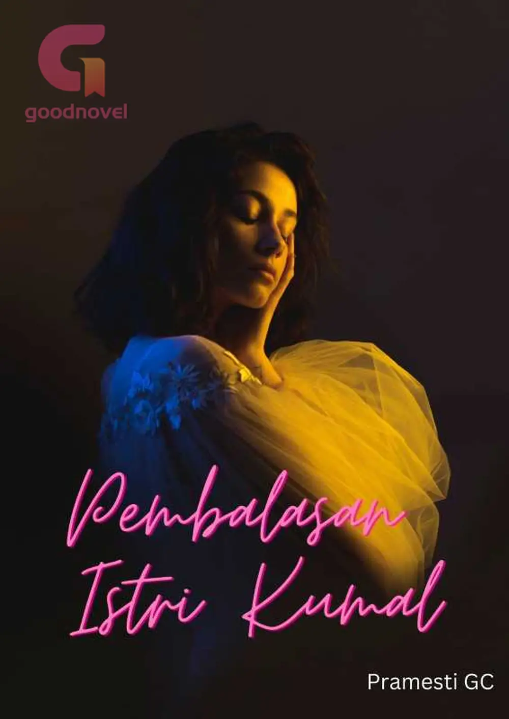 Pembalasan Istri Kumal - 36 Novel & PDF Online oleh Pramesti GC | Baca Romansa Cerita per Bab ...