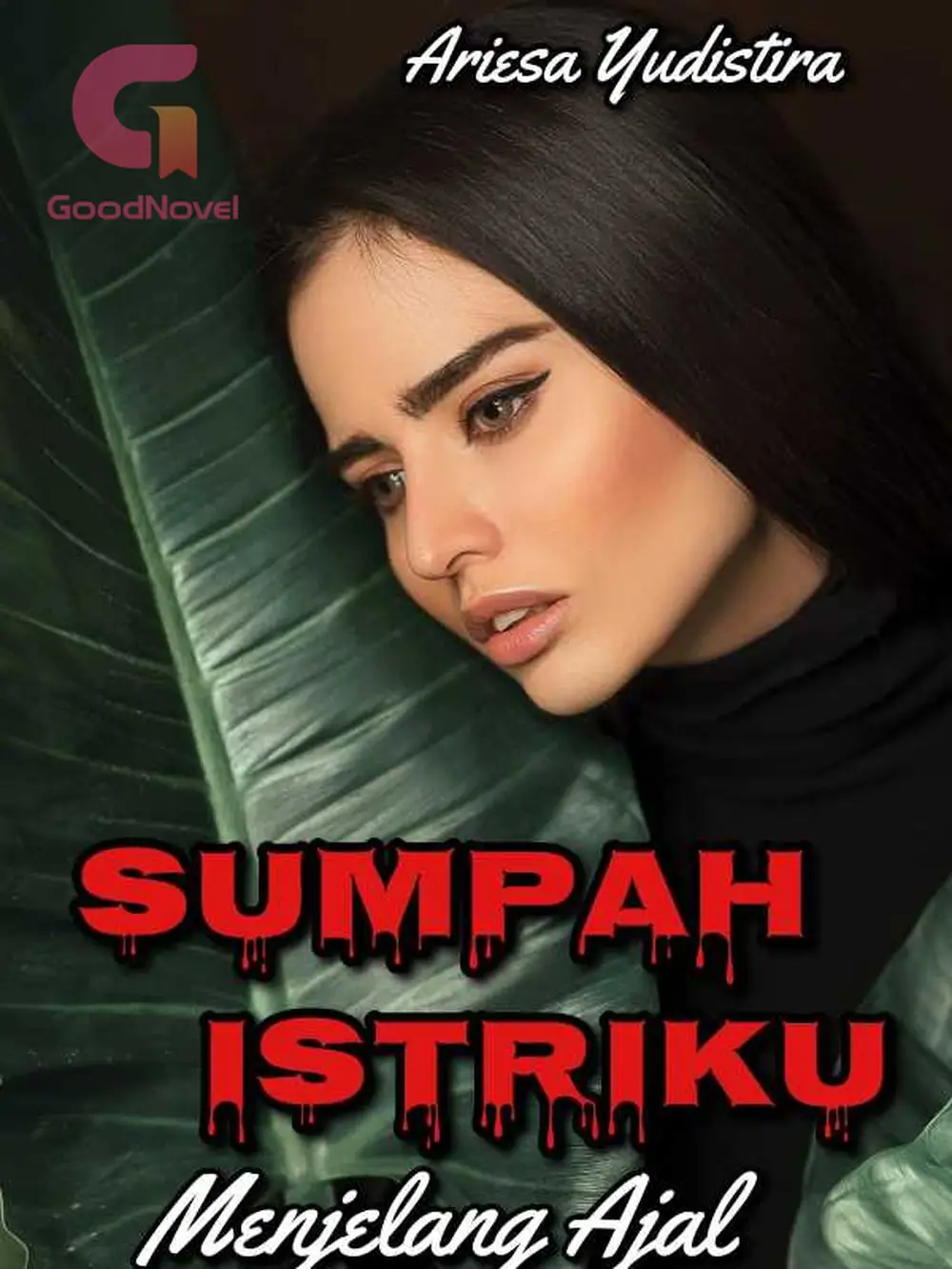 SUMPAH ISTRIKU MENJELANG AJAL - Penyelidikan Novel & PDF Online oleh Ariesa Yudistira | Baca ...