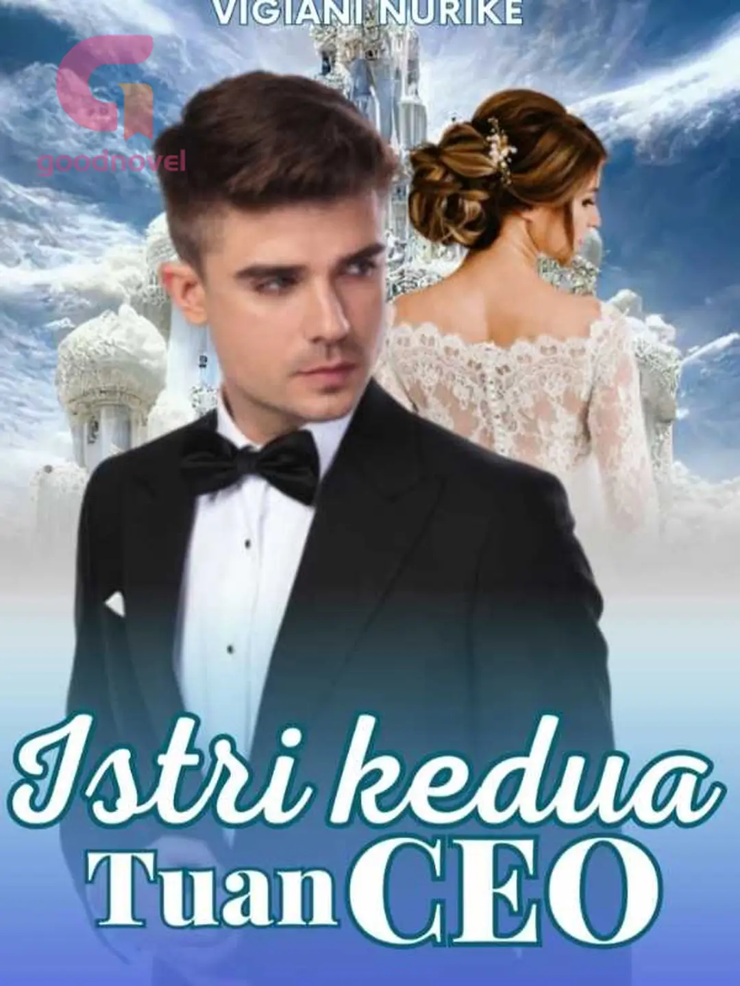 ISTRI KEDUA TUAN CEO - DUA BERSAUDARA NOEL Novel & PDF Online oleh VIGIANI NURIKE | Baca Romansa ...