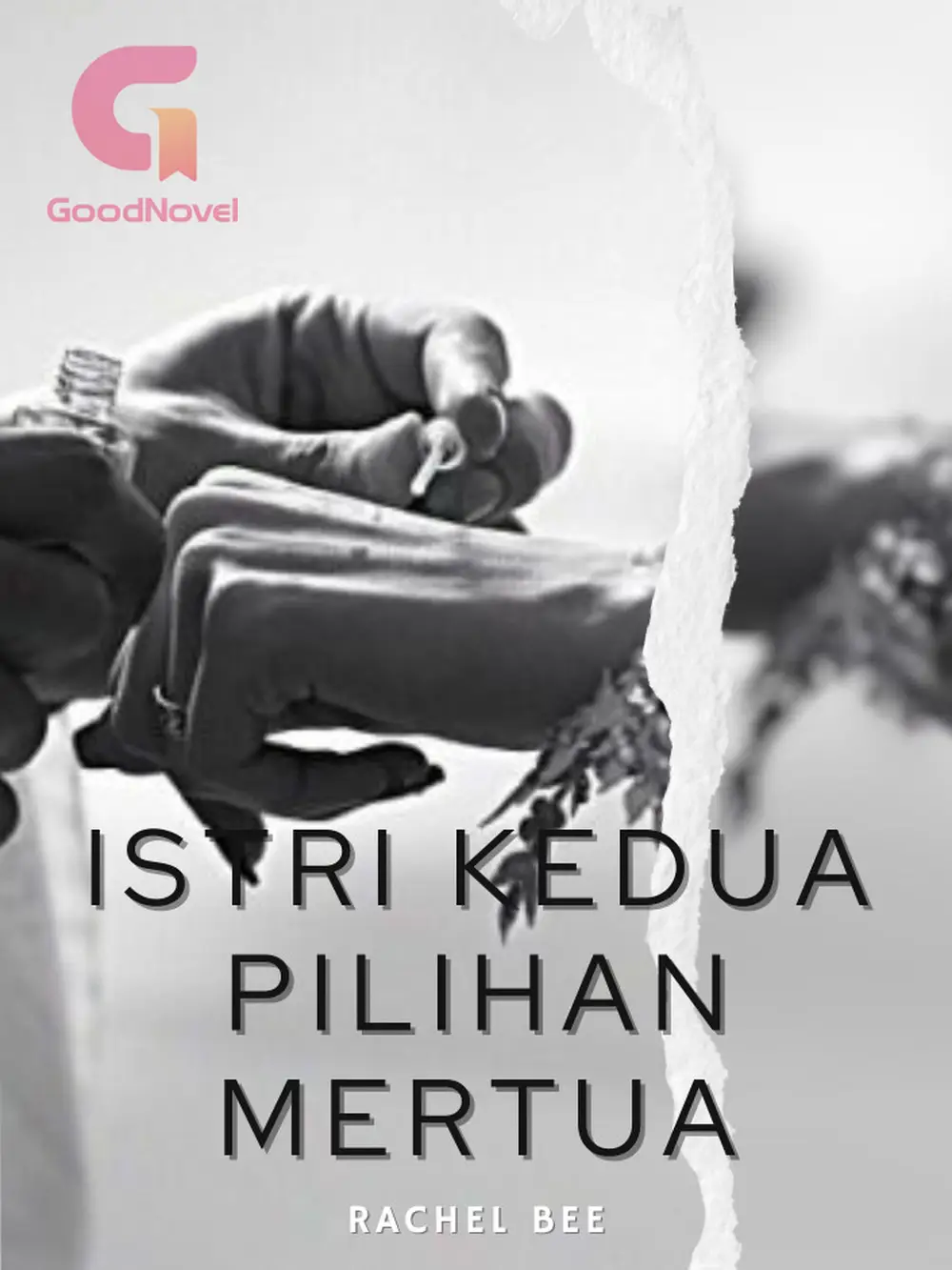 Istri kedua pilihan mertua - Sah Berpisah Novel & PDF Online oleh ...