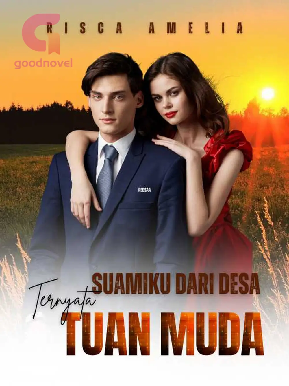 Suamiku Dari Desa Ternyata Tuan Muda - Penampilan Istimewa Novel & PDF Online oleh Risca Amelia ...