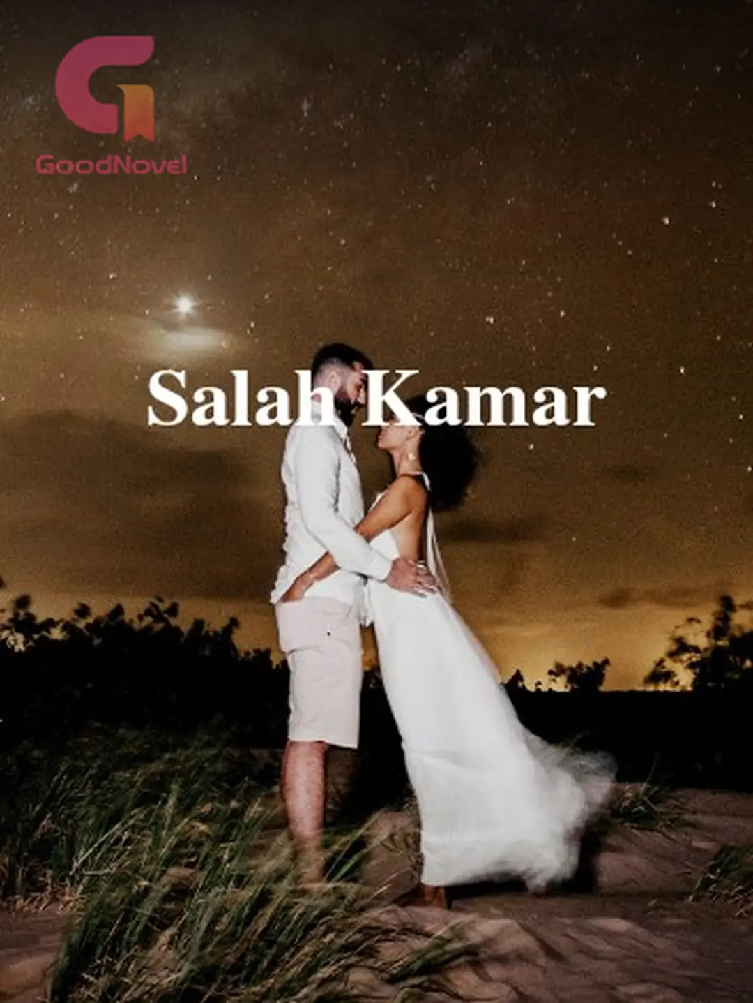 Salah Kamar - Part 52 Raisa, Kau Salah Paham Novel & PDF Online oleh ...