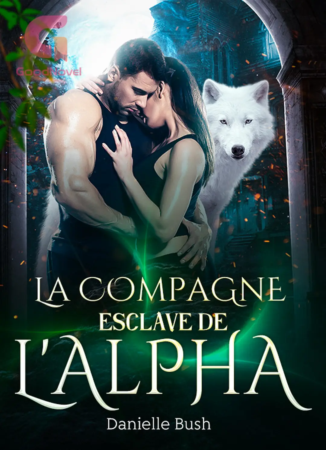 La Compagne Esclave de l'Alpha - Lire en ligne gratuitement par Danielle Bush | GoodNovel