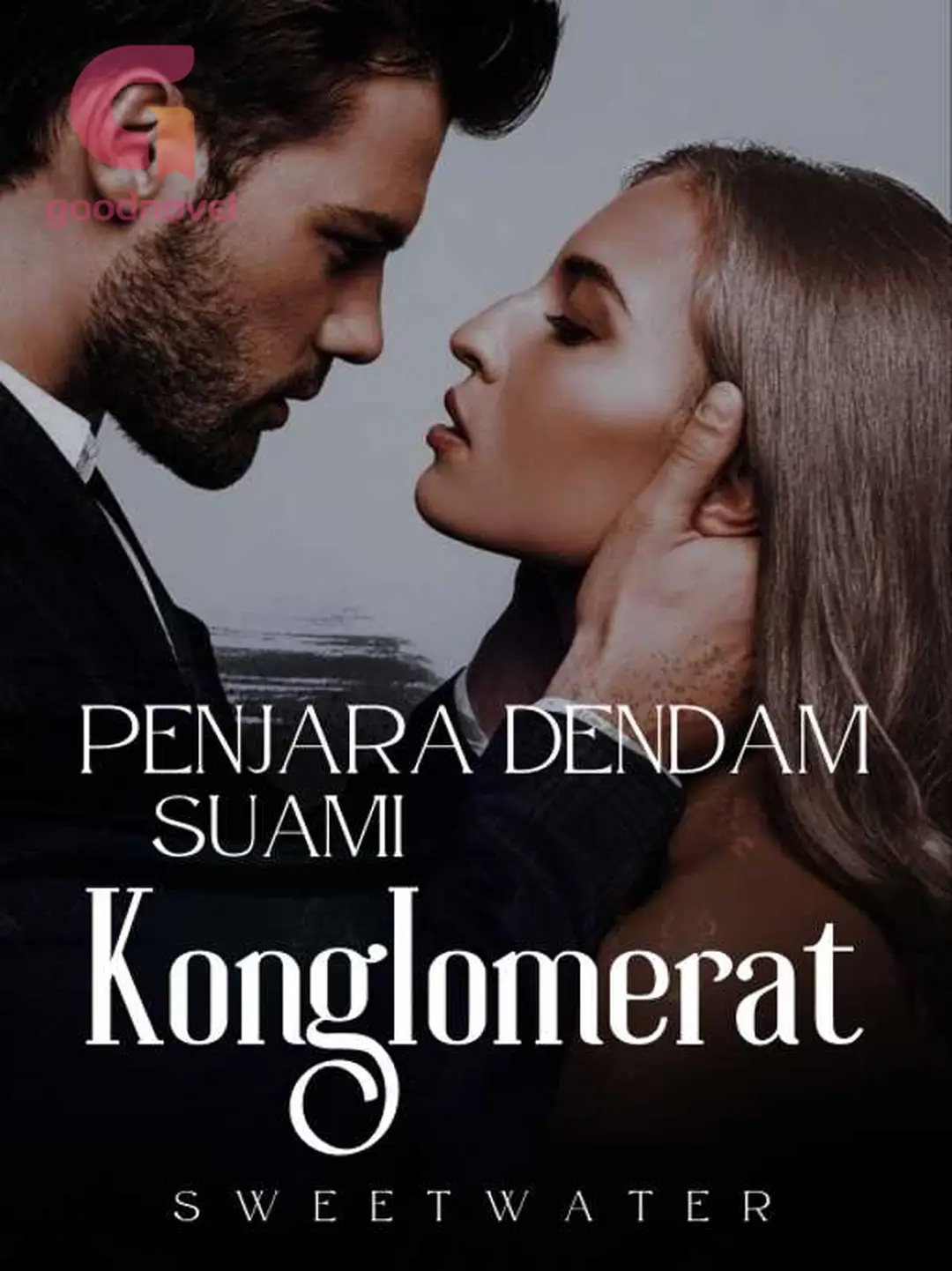Penjara Dendam Suami Konglomerat - Harus Berterima Kasih Kepada Lukas Novel & PDF Online oleh ...