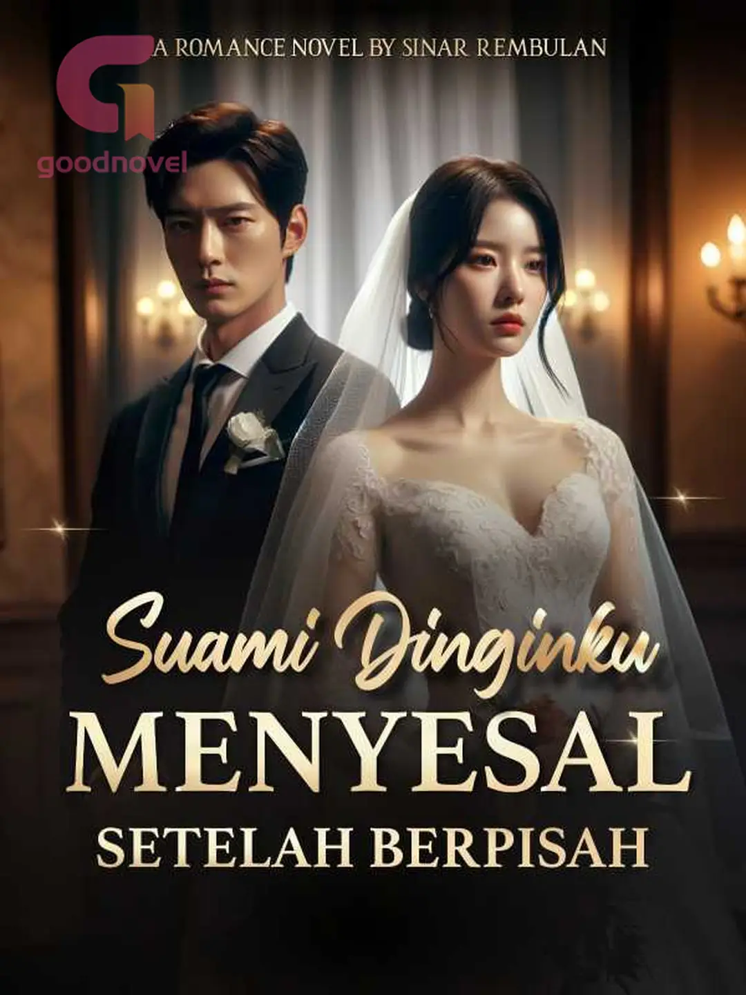 Suami Dinginku Menyesal Setelah Berpisah - BAB 54 Novel & PDF Online oleh Sinar Rembulan | Baca ...