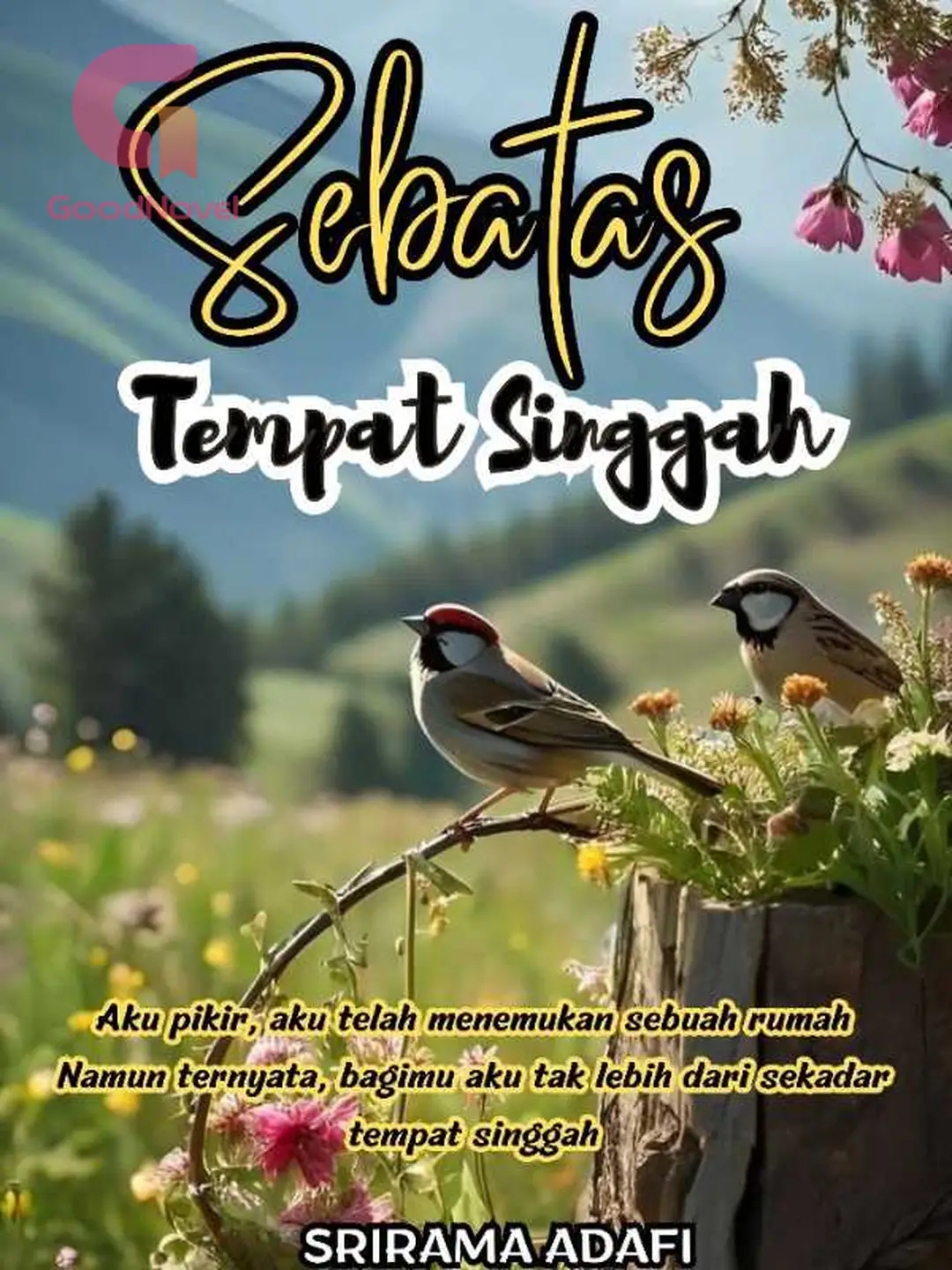 SEBATAS TEMPAT SINGGAH - Gagal Novel & PDF Online oleh Srirama Adafi | Baca Rumah Tangga Cerita ...
