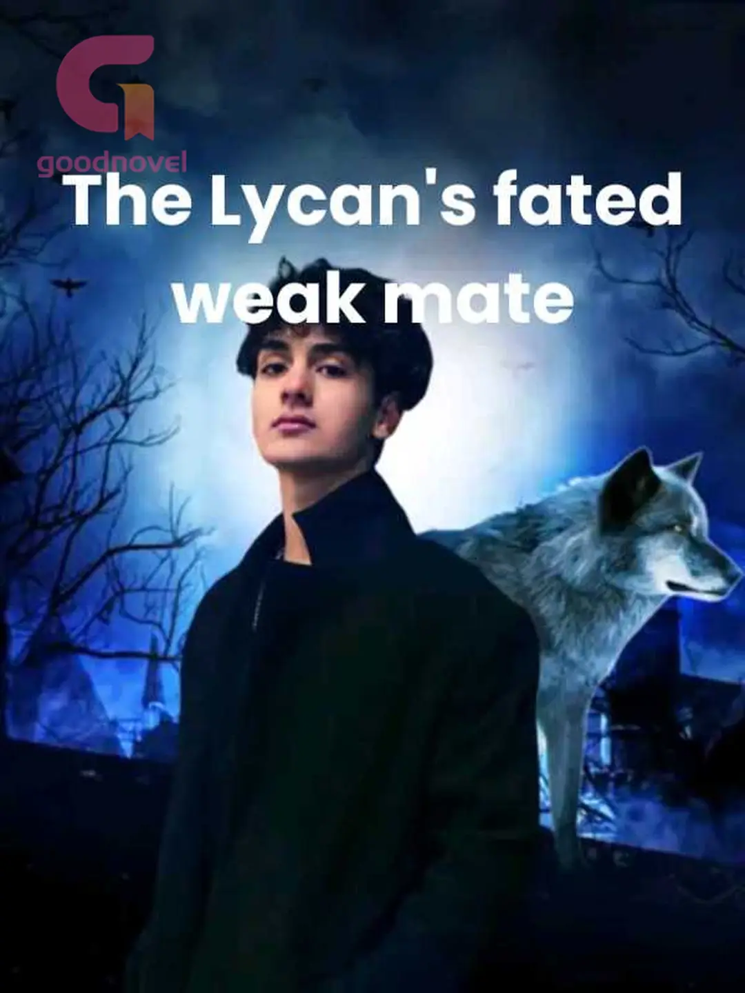 Chapter 24 - The Lycan's fated weak mate - GoodNovel