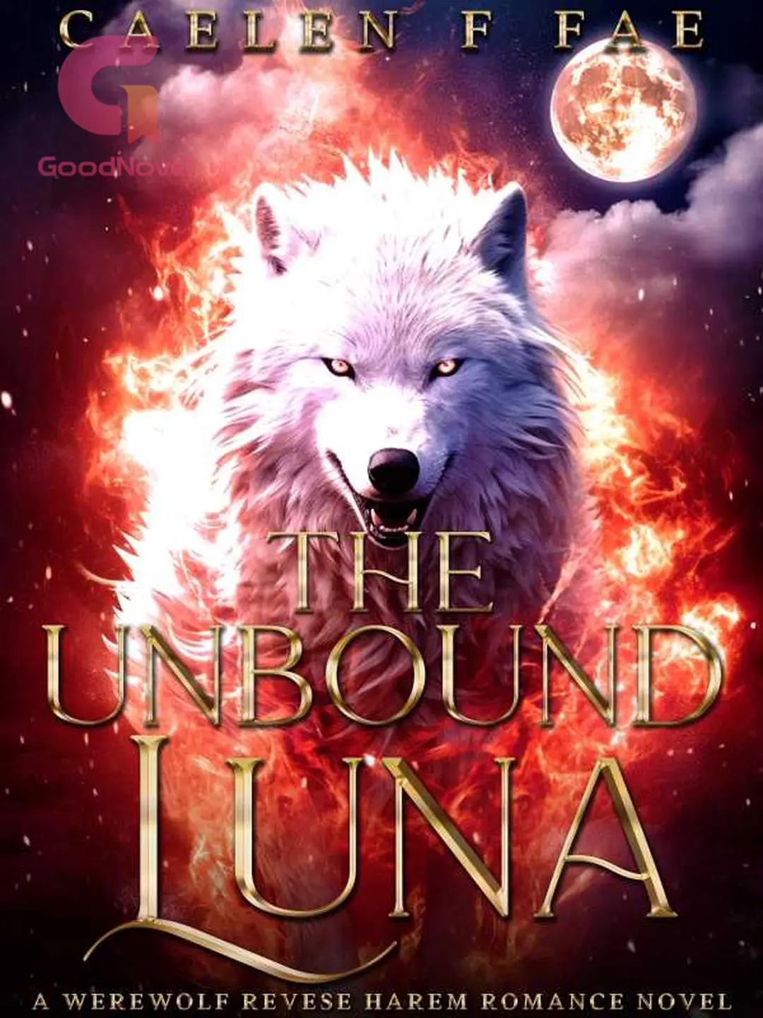 16. I Disagree - The Unbound Luna - GoodNovel