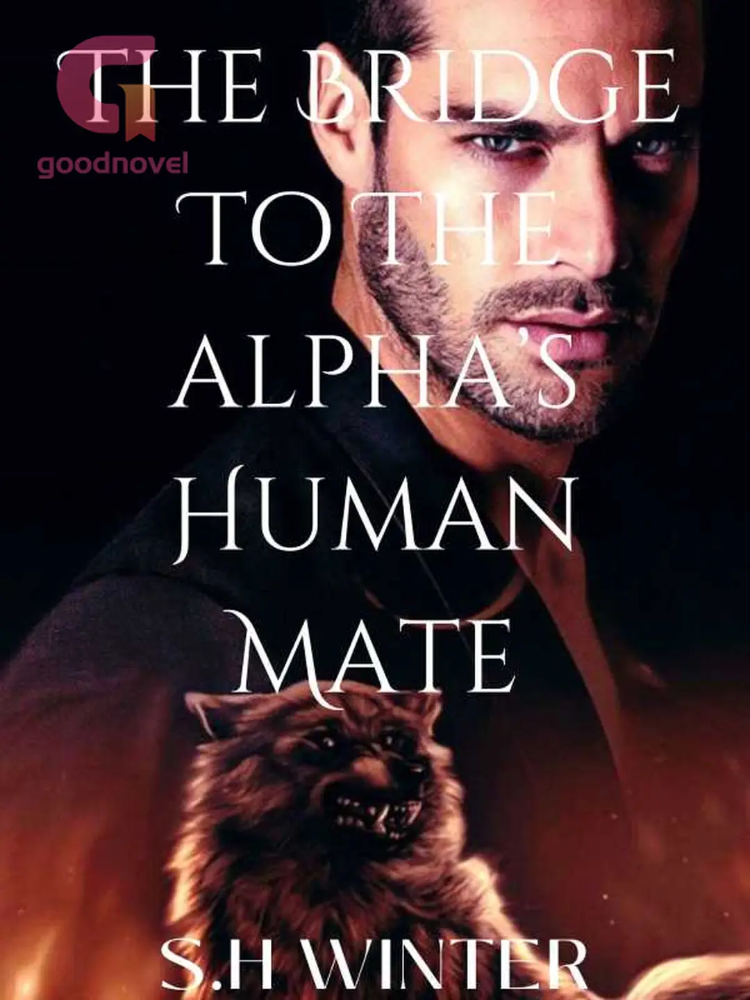 Ninety Three - The Bridge To The Alpha’s Human Mate - GoodNovel