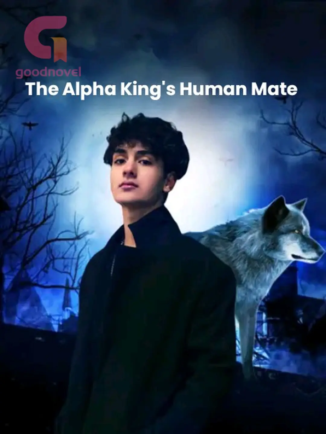 Chapter 6 - The Alpha King's Human Mate - GoodNovel