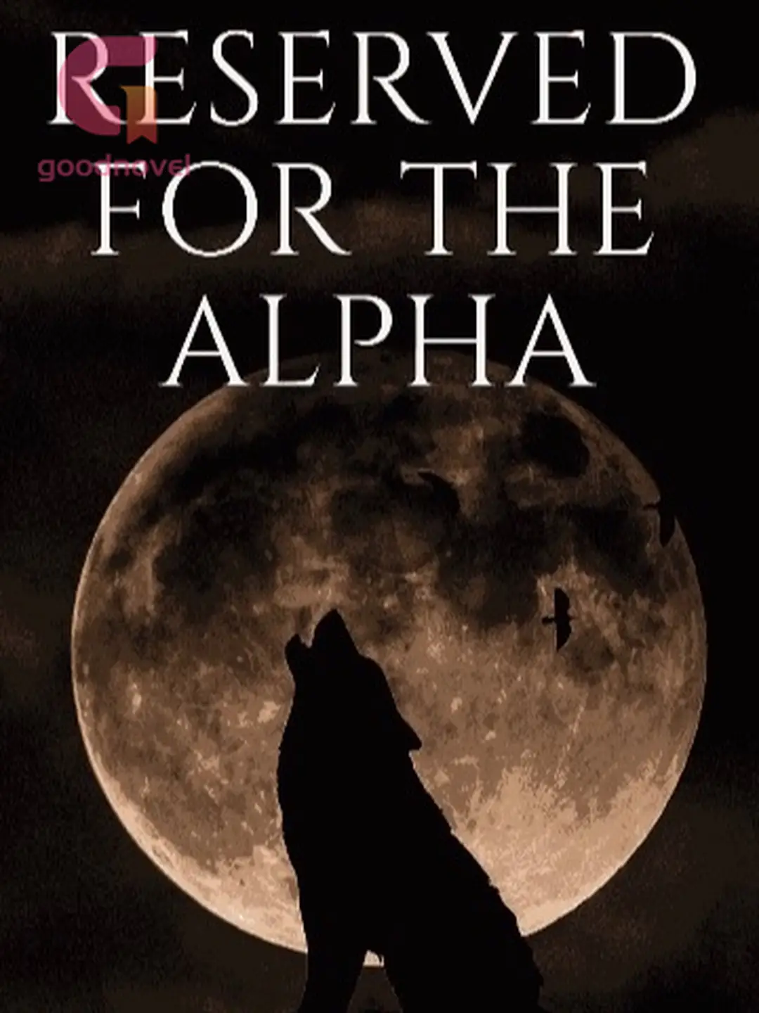 Free Chapter 6- The Half-blood’s Burden of Reserved For The Alpha Online | GoodNovel