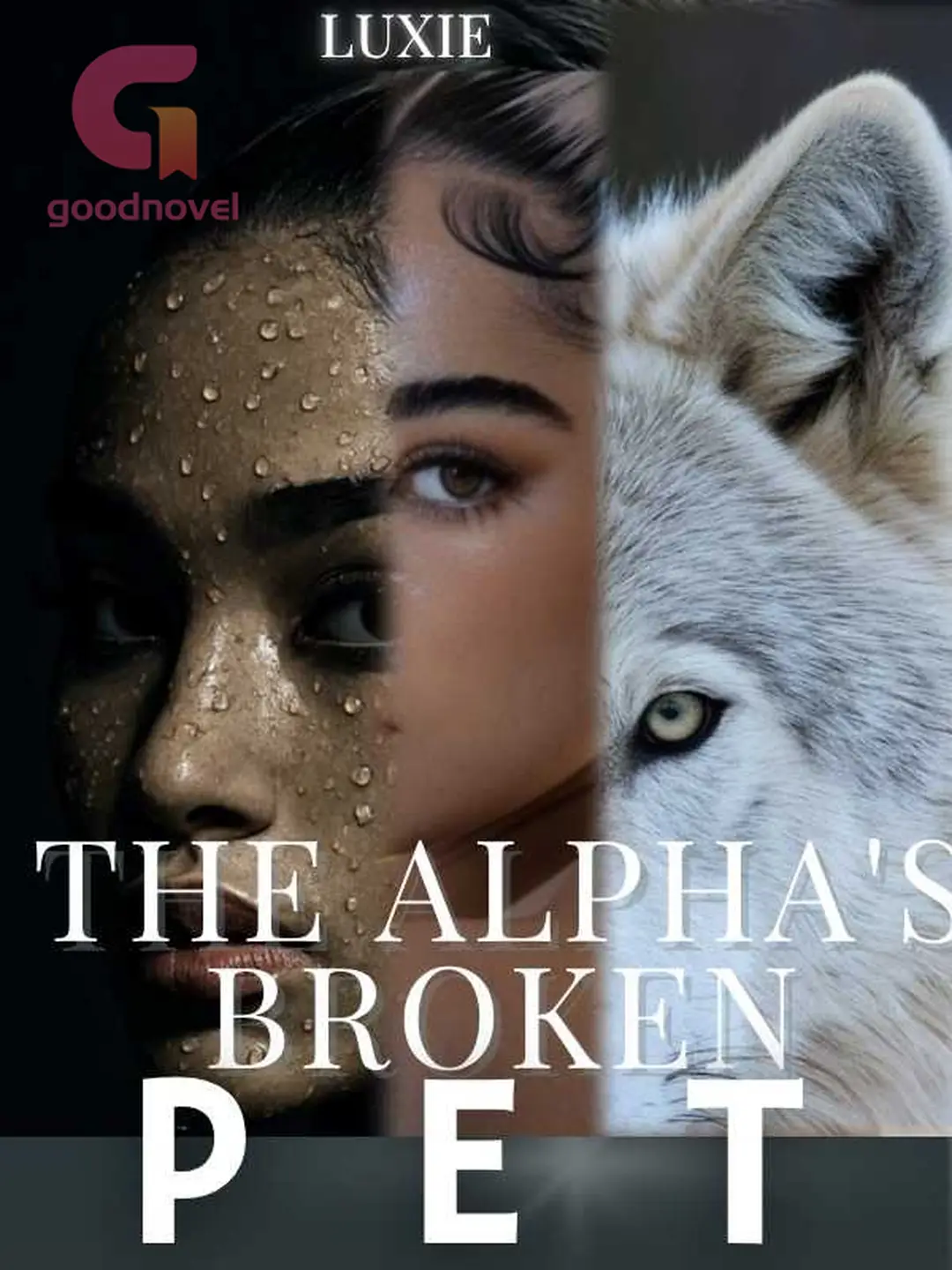 Thirty-Three - The Alpha's Broken Pet - GoodNovel