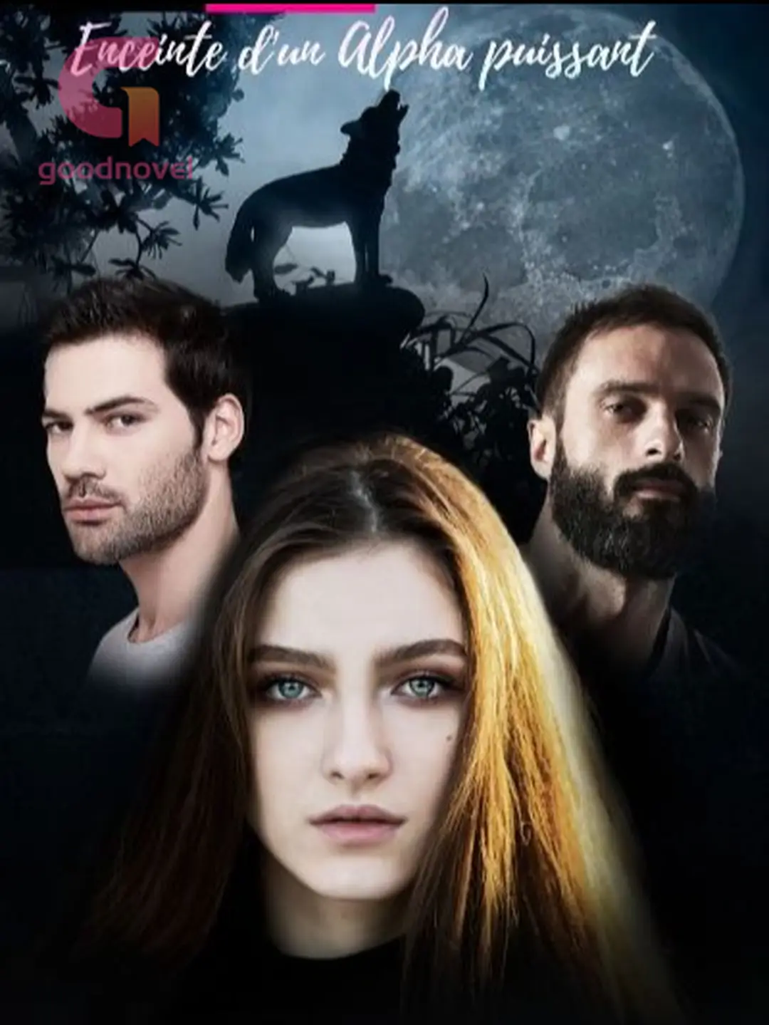 Enceinte d'un Alpha puisant - Chapitre 12 Roman & PDF en ligne par Michel publication | Lire ...