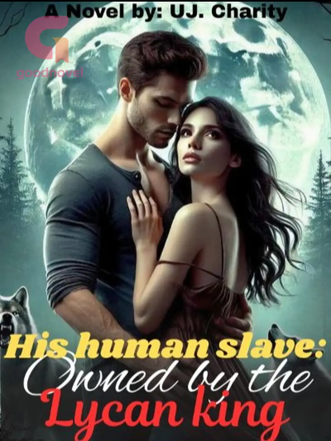 CHAPTER 16: The festival night - His human slave: Owned by the Lycan king - GoodNovel