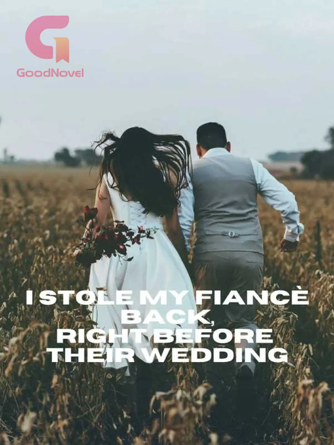 I Stole My Fiance Back... Right Before Their Wedding - Read Online Free ...