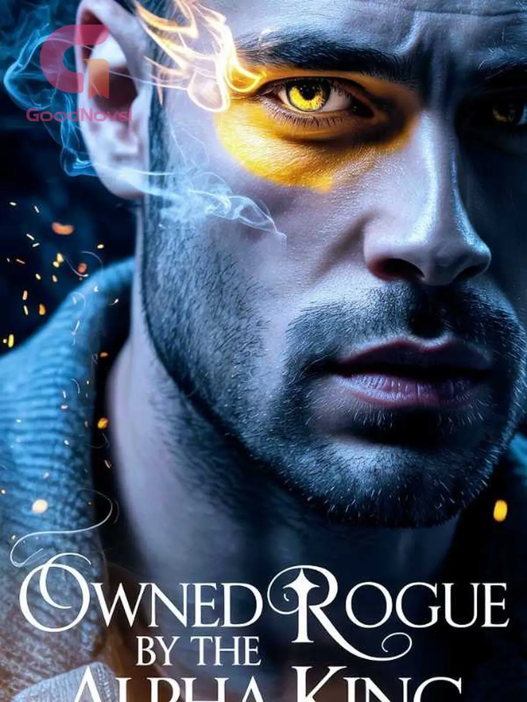 Things you must know - Owned By The Rogue Alpha - GoodNovel