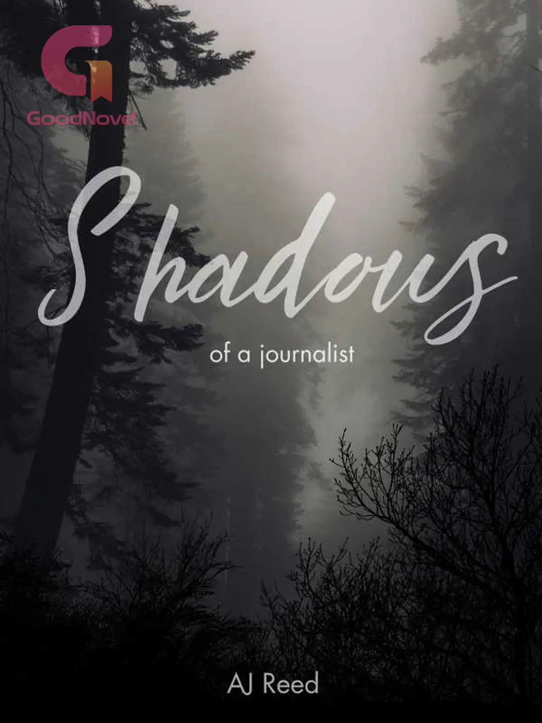 Chapter 101: Preparing for the Final Storm - Shadows of a Journalist ...