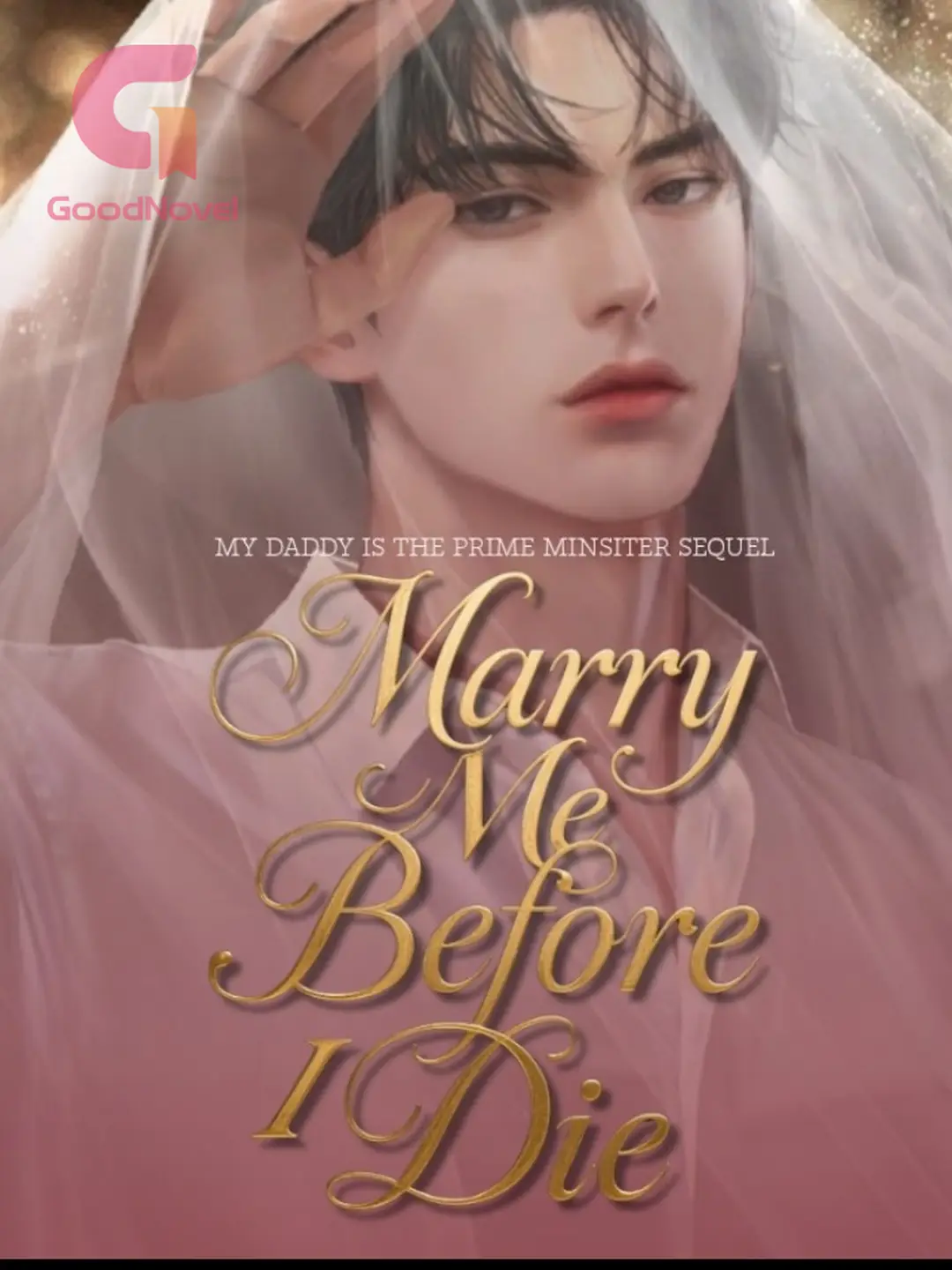 SEQUEL STORY: MARRY ME BEFORE I DIE - Chapter 44: TELLING HIS CONDITION ...