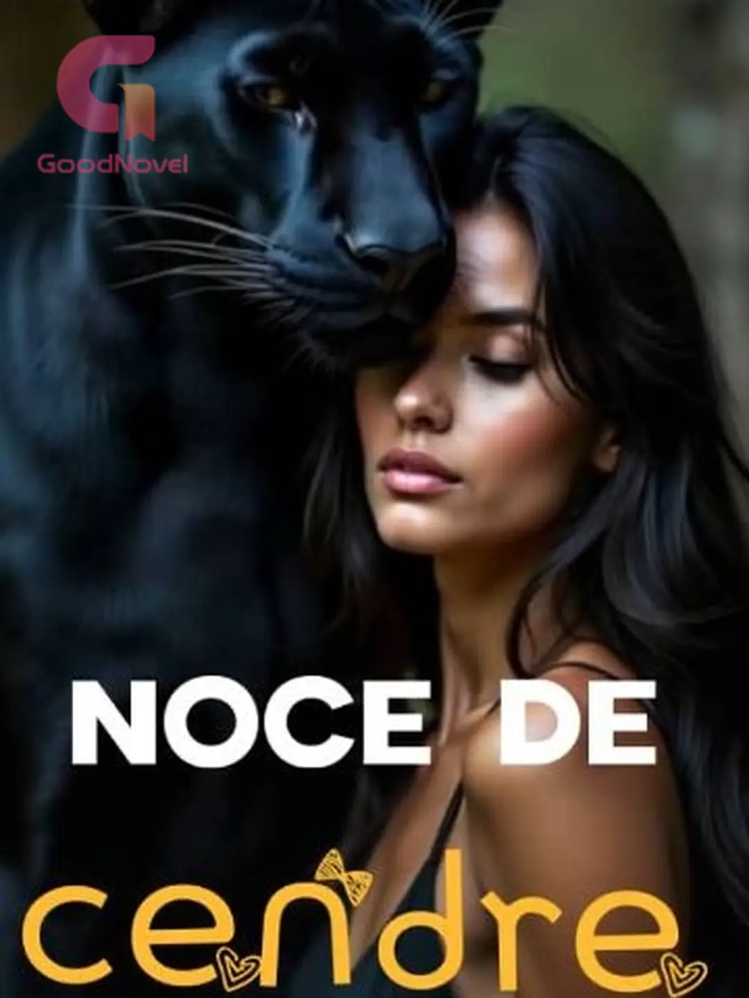 Noce de cendre - Chapitre 11 : La Première Leçon Roman & PDF en ligne ...