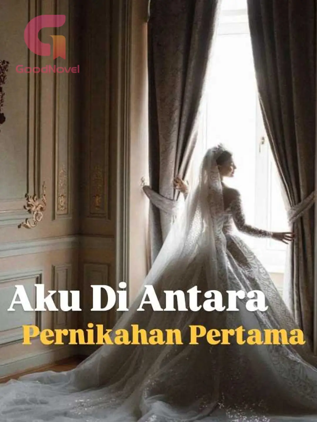 Aku Di Antara Pernikahan Pertama - 64 Novel & PDF Online oleh ...