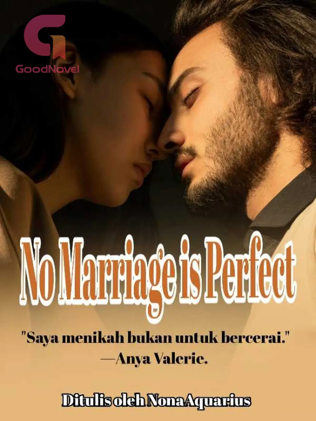 No Marriage is Perfect - Mood Felix Novel & PDF Online oleh ...
