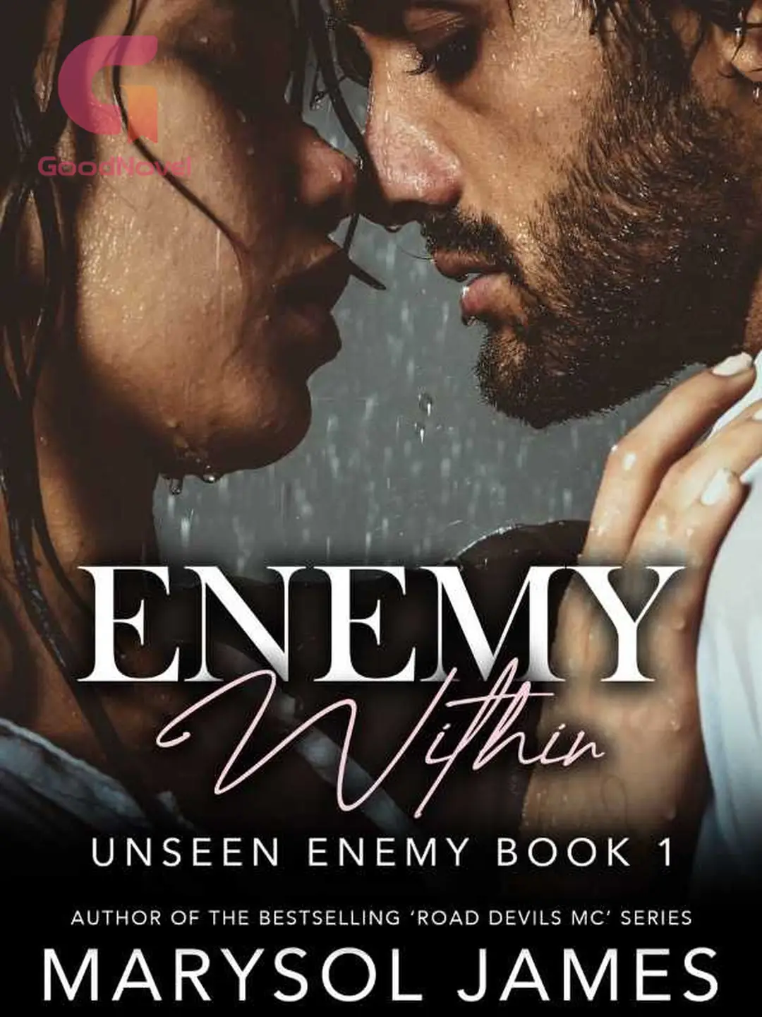 Chapter Twenty-nine - Enemy Within (Unseen Enemy 1) - GoodNovel